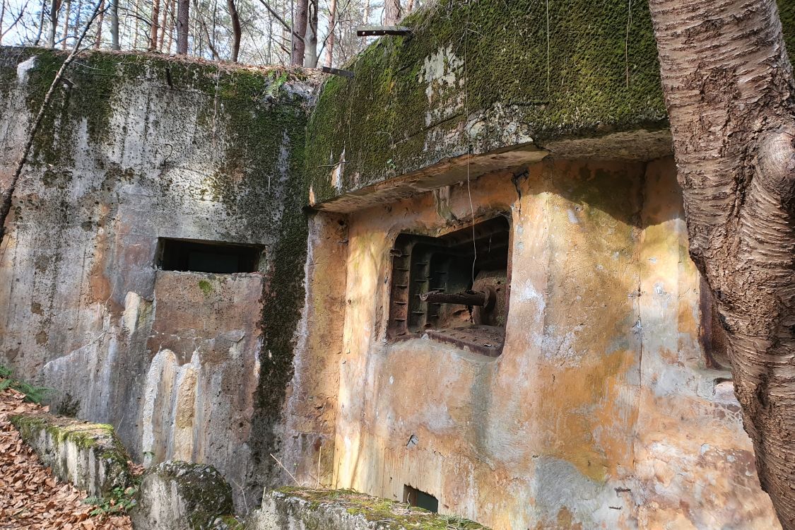 Narol Atrakcje Turystyczne w Narolu. Roztocze - Gmina Narol Lubelskie