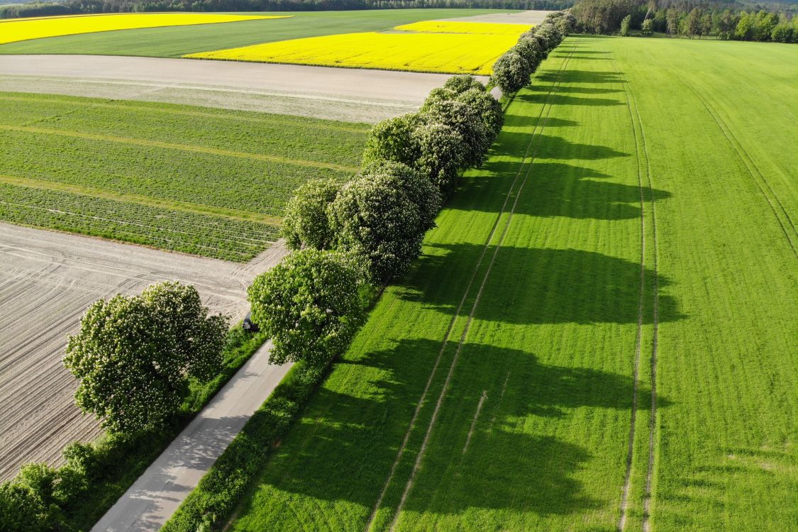 Narol Atrakcje Turystyczne w Narolu. Roztocze - Gmina Narol Lubelskie