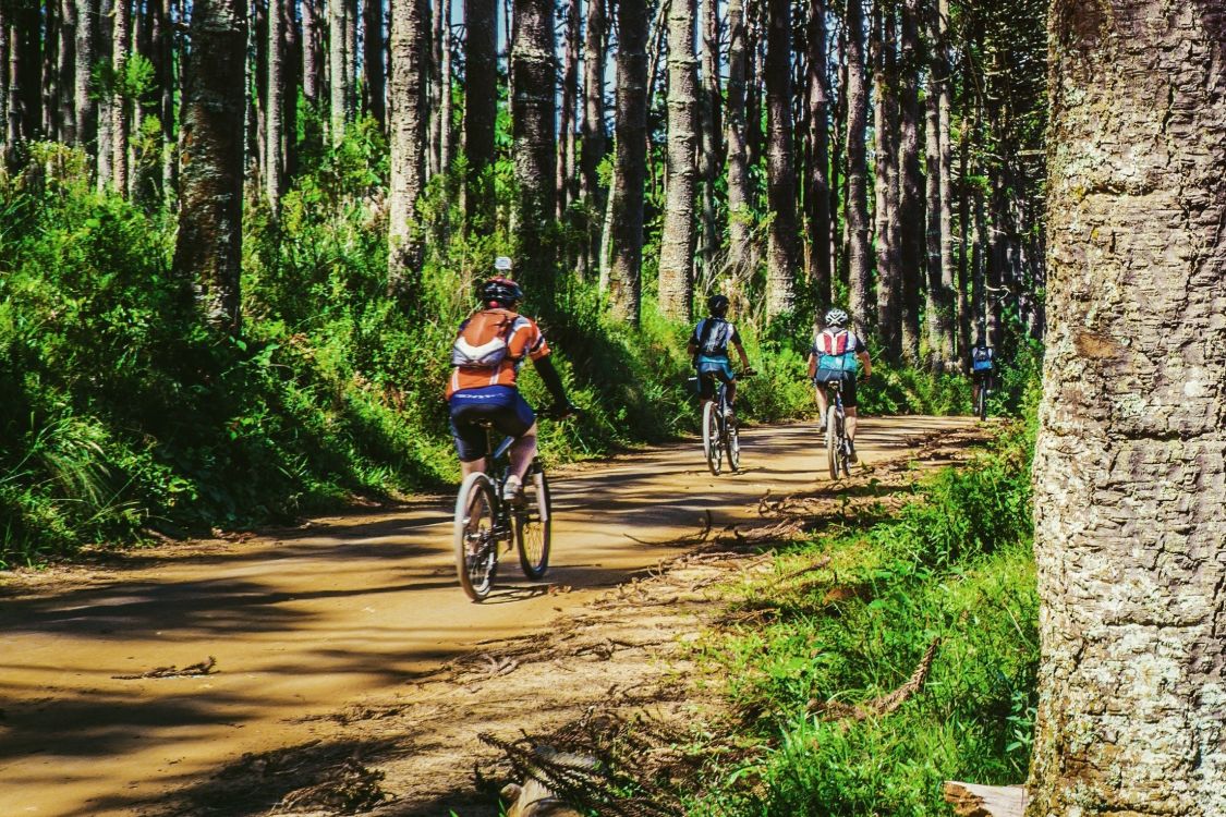 Rajdy rowerowe po Roztoczu