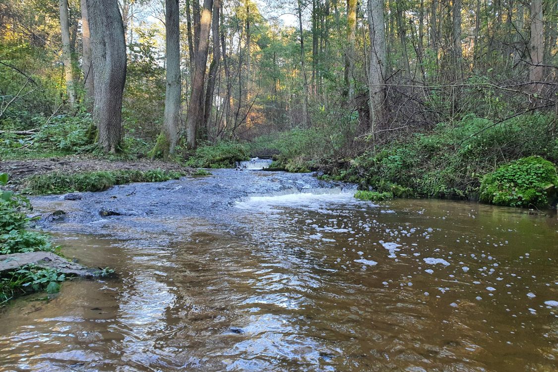 Czartowe Pole- Historia i legenda