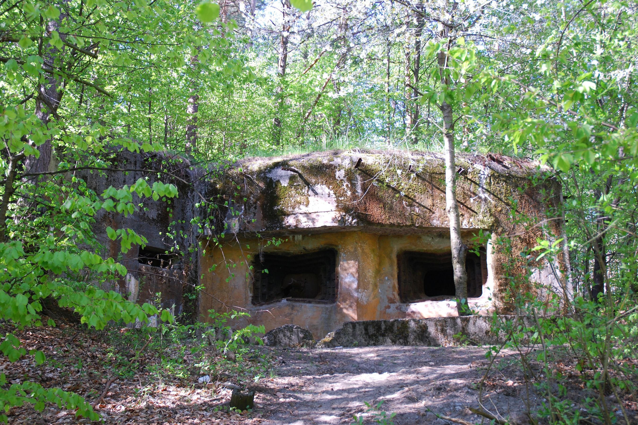 Aktualności bunkry - Wiadomości kategoria bunkry