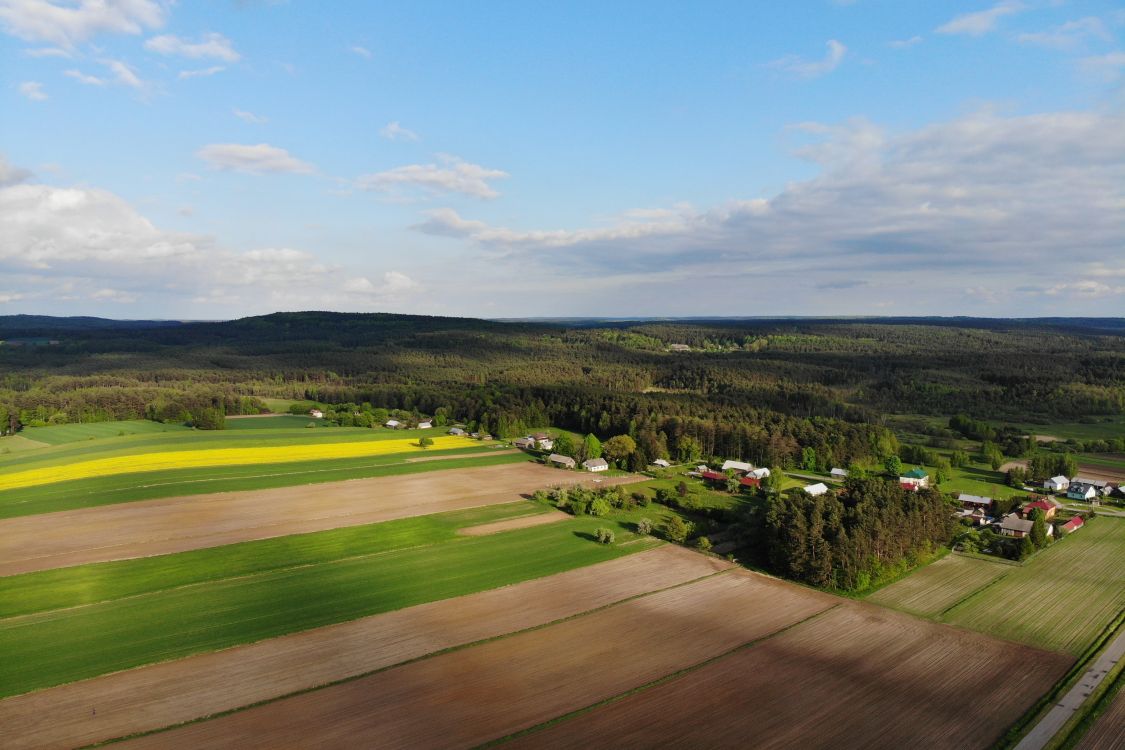 Wzgórza Roztocza. Wielki Dział, Długi Goraj i Krągły Goraj i Wapielnia