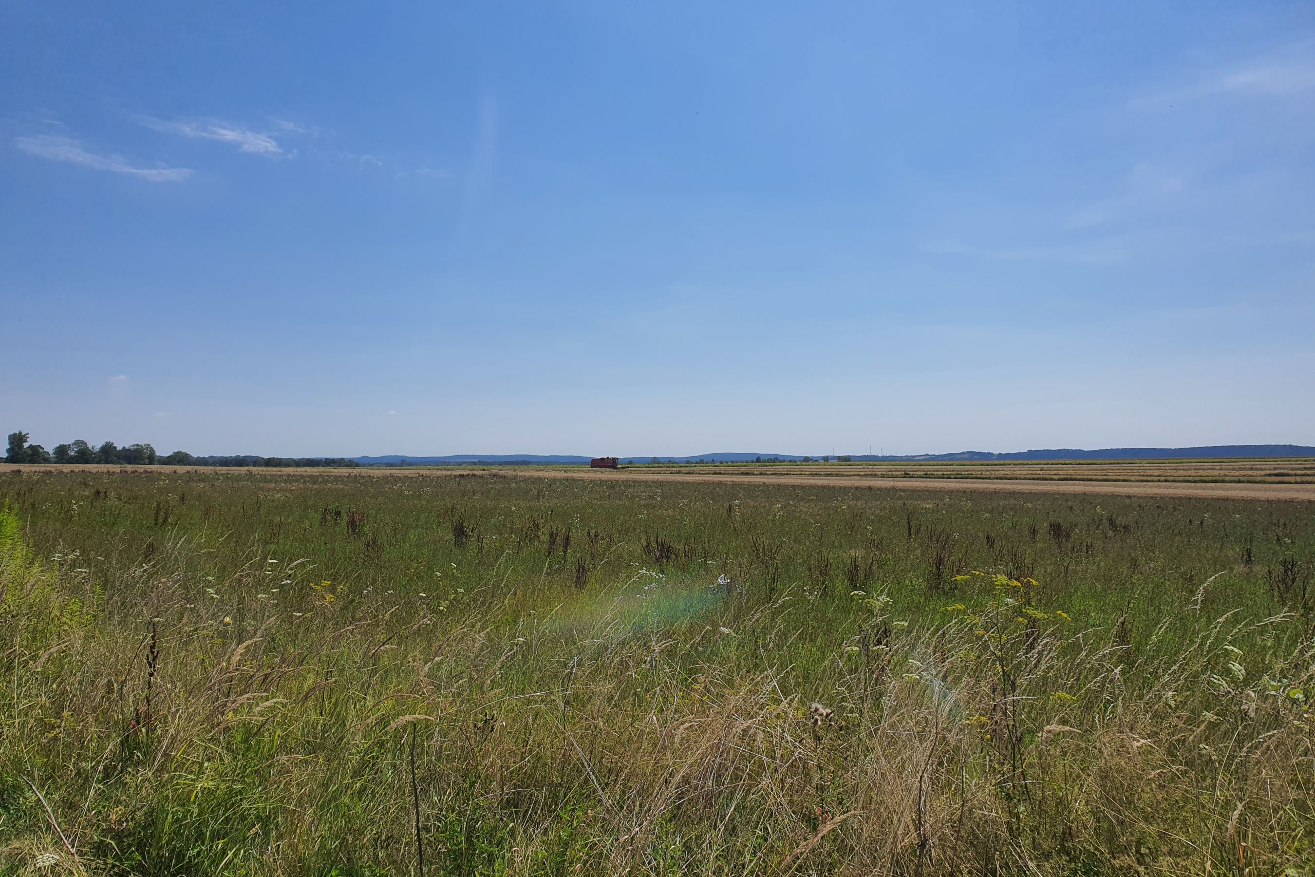 Roztocze Punkt widokowy Narol Wieś Paary na Roztoczu.